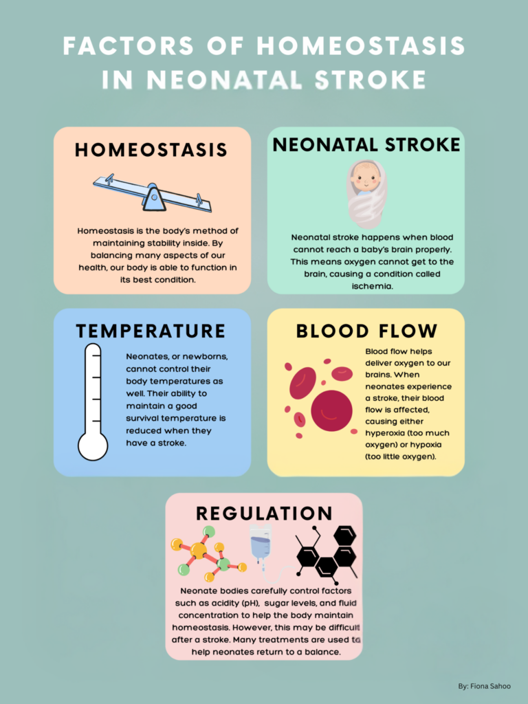Homeostasis in Neonatal Stroke, the Challenges of Balancing Bodily ...